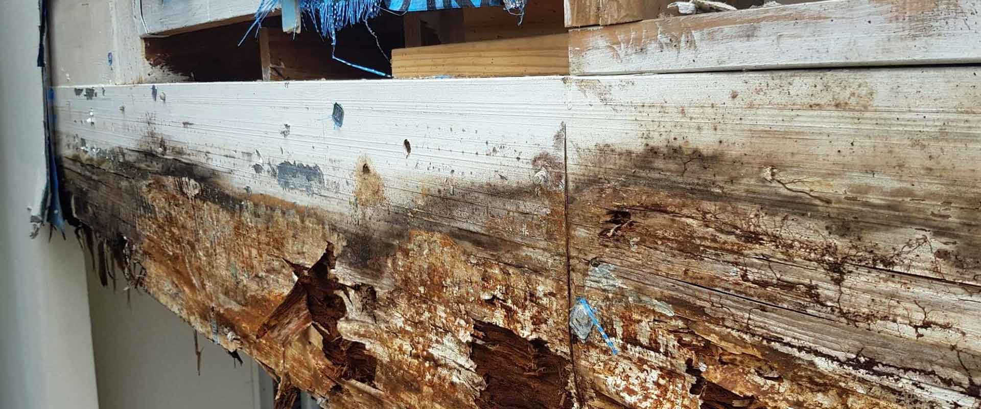 Water Intrusion Woes: How Poor Construction Can Lead to Costly Repairs