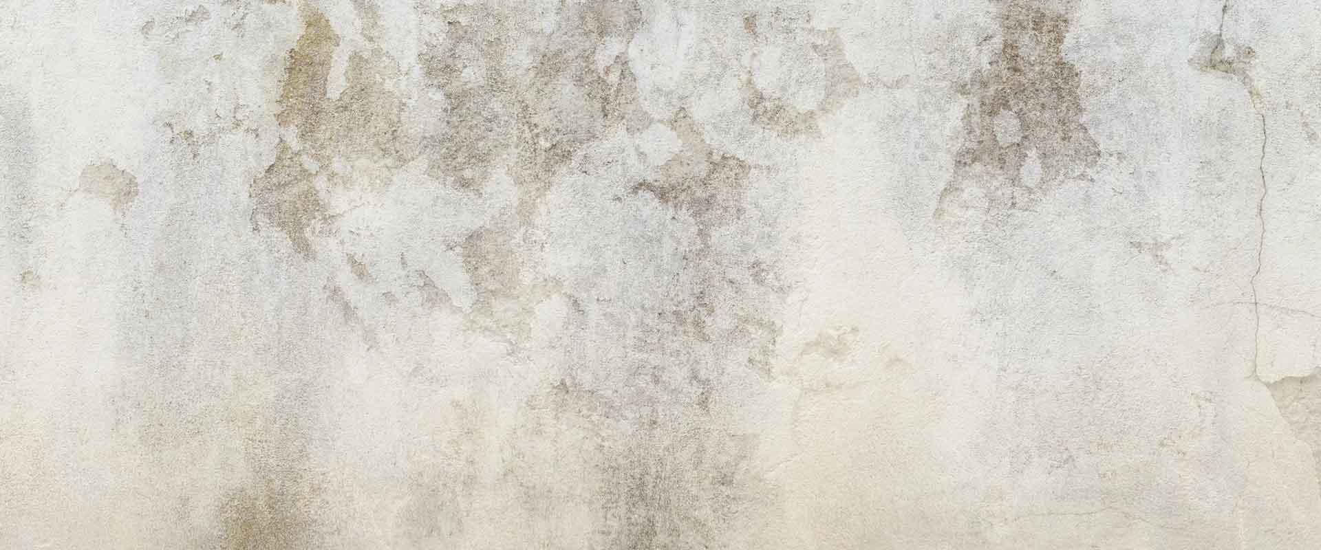 Are You Dealing with a Rising Damp Problem?